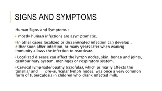 Zoonotic tuberculosis | PPTX
