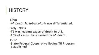 Zoonotic tuberculosis | PPTX
