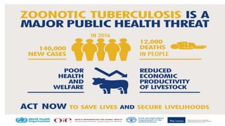 Zoonotic tuberculosis | PPTX