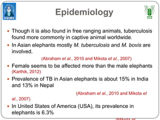Zoonotic tuberculosis in elephanths | PPTX
