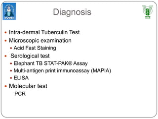 Zoonotic tuberculosis in elephanths | PPTX