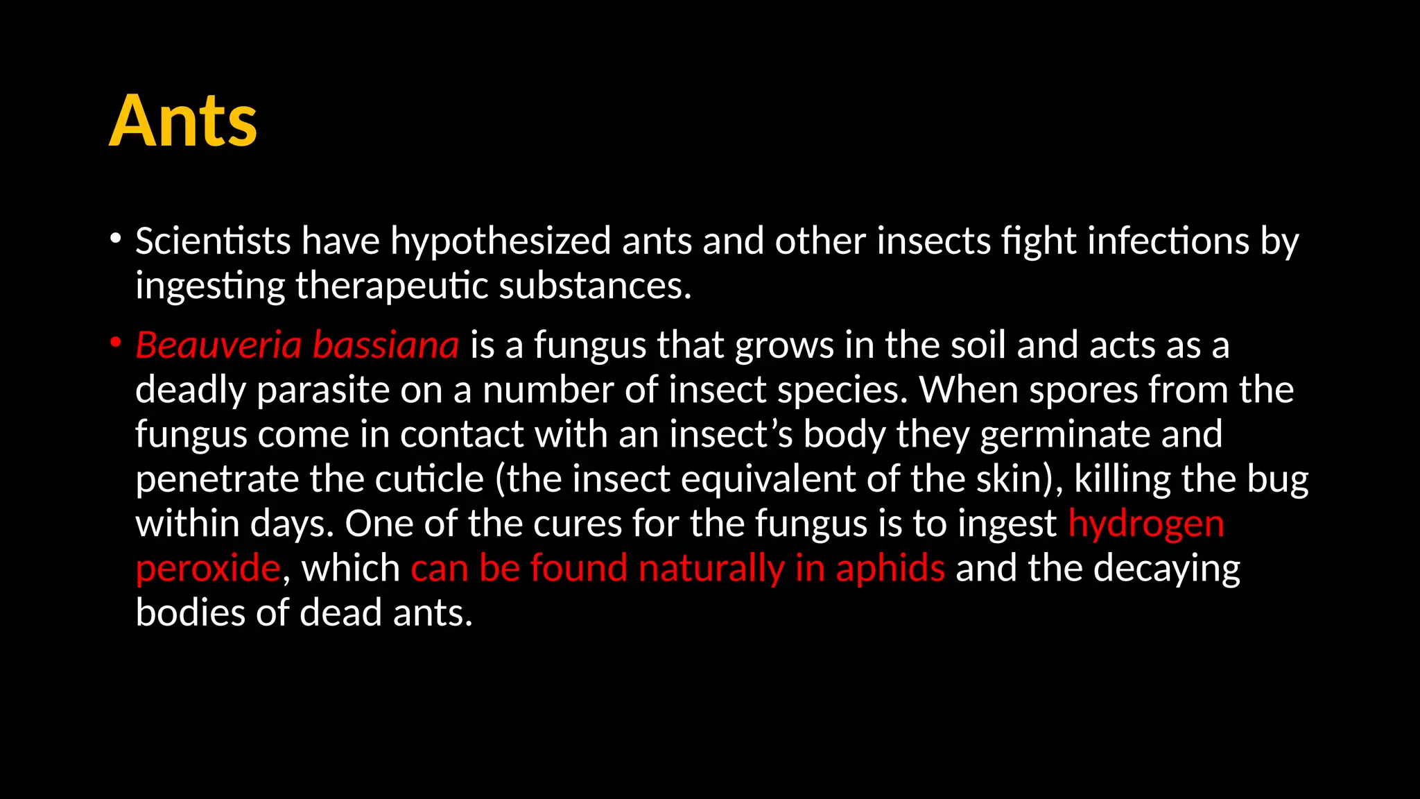 zoopharmacognosy and its types along with examples | PPTX