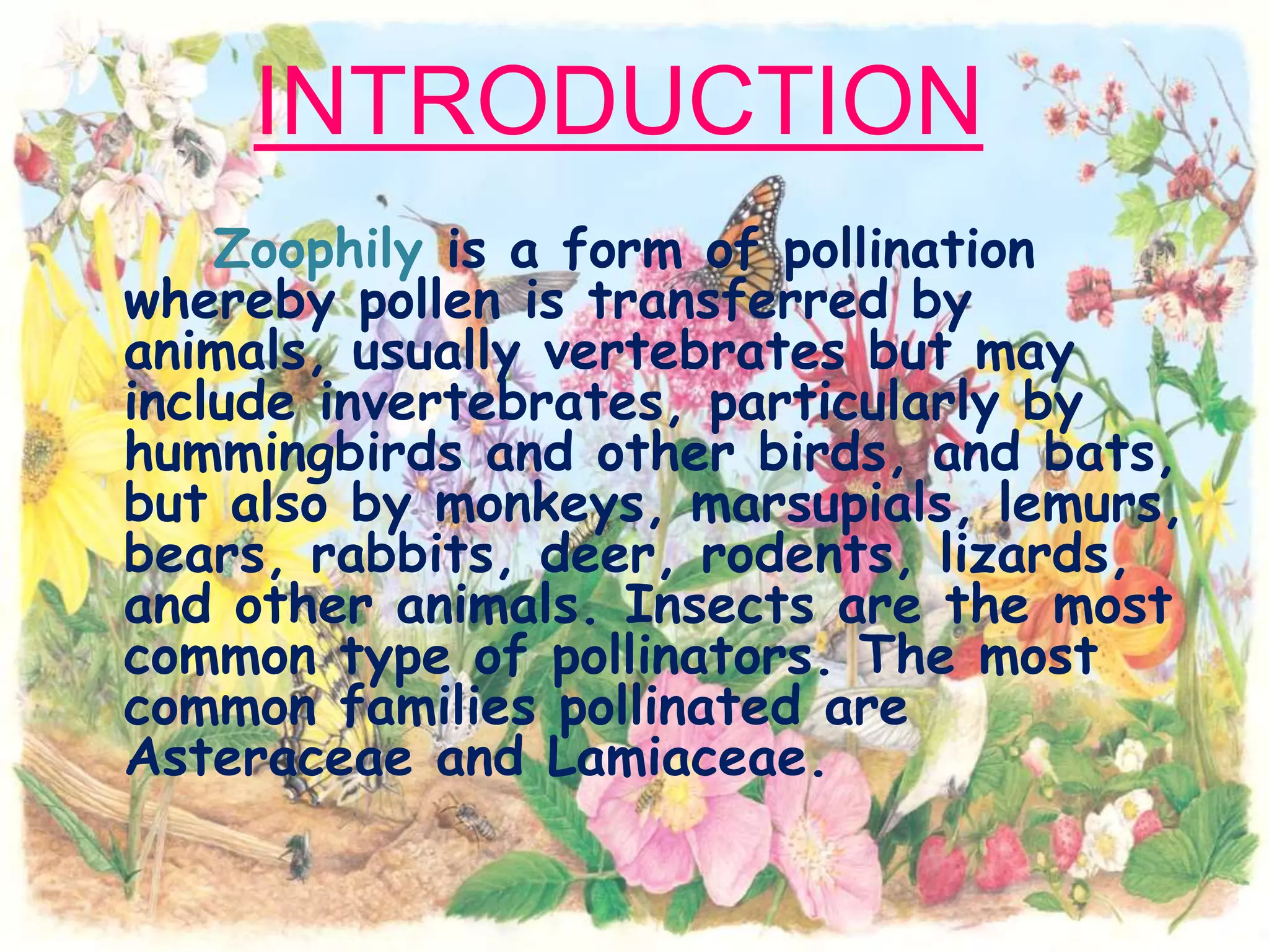 ZOOPHILY- POLLINATION WITH HELP OF ANIMALS | PPTX