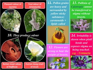 ZOOPHILY- POLLINATION WITH HELP OF ANIMALS | PPTX