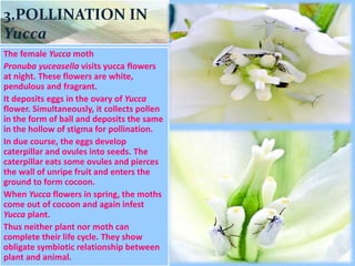 ZOOPHILY- POLLINATION WITH HELP OF ANIMALS | PPTX