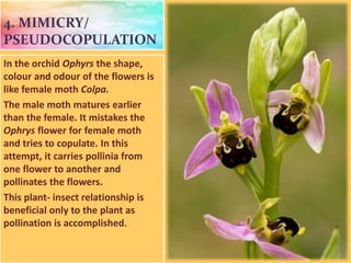 ZOOPHILY- POLLINATION WITH HELP OF ANIMALS | PPTX
