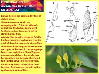 ZOOPHILY- POLLINATION WITH HELP OF ANIMALS | PPTX