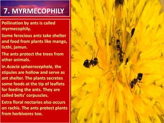 ZOOPHILY- POLLINATION WITH HELP OF ANIMALS | PPTX