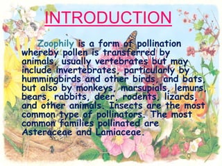 ZOOPHILY- POLLINATION WITH HELP OF ANIMALS | PPT