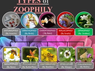 ZOOPHILY- POLLINATION WITH HELP OF ANIMALS | PPTX