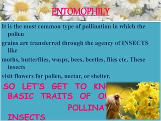 ZOOPHILY- POLLINATION WITH HELP OF ANIMALS | PPTX