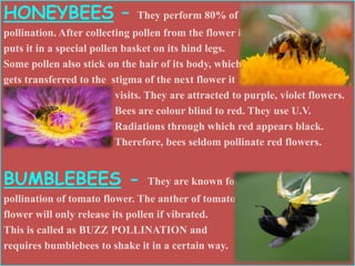 ZOOPHILY- POLLINATION WITH HELP OF ANIMALS | PPTX