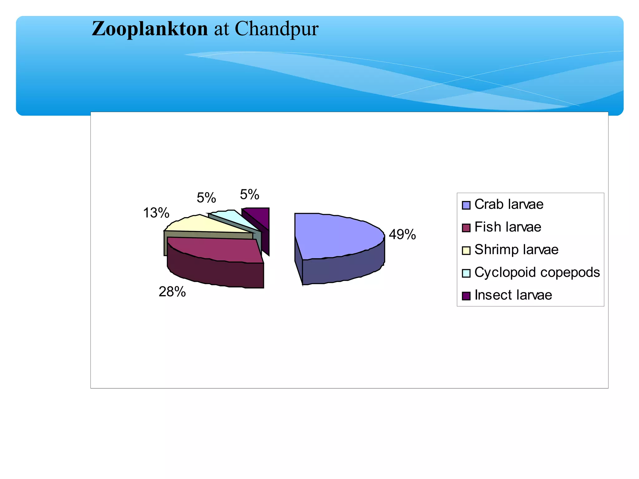 Zooplankton distribution and seasonal succession | PPT