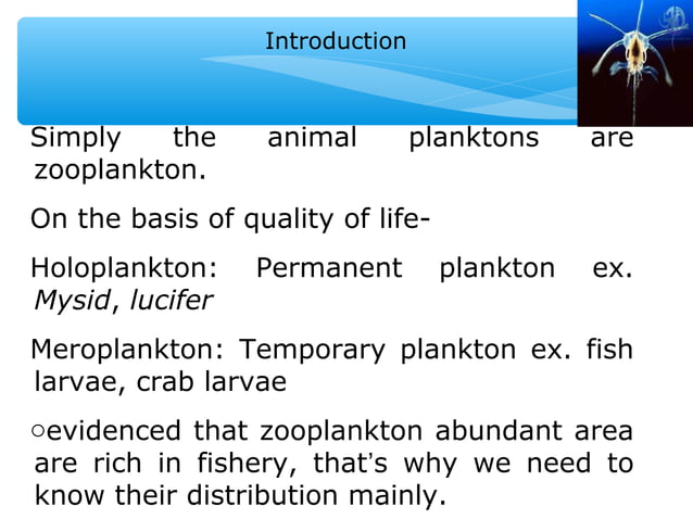 Zooplankton distribution and seasonal succession | PPT