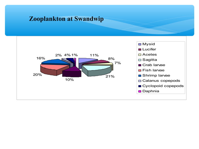 Zooplankton distribution and seasonal succession | PPT