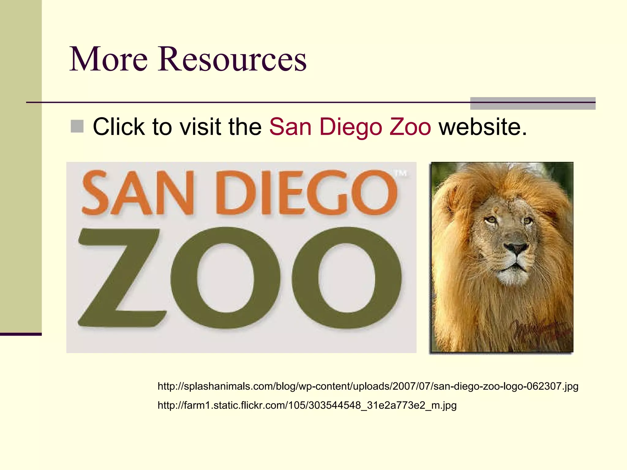Zoo Ppt | PPT