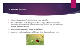 Zoology Phylum | PPT