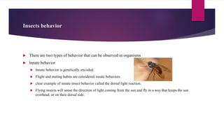 Zoology Phylum | PPT