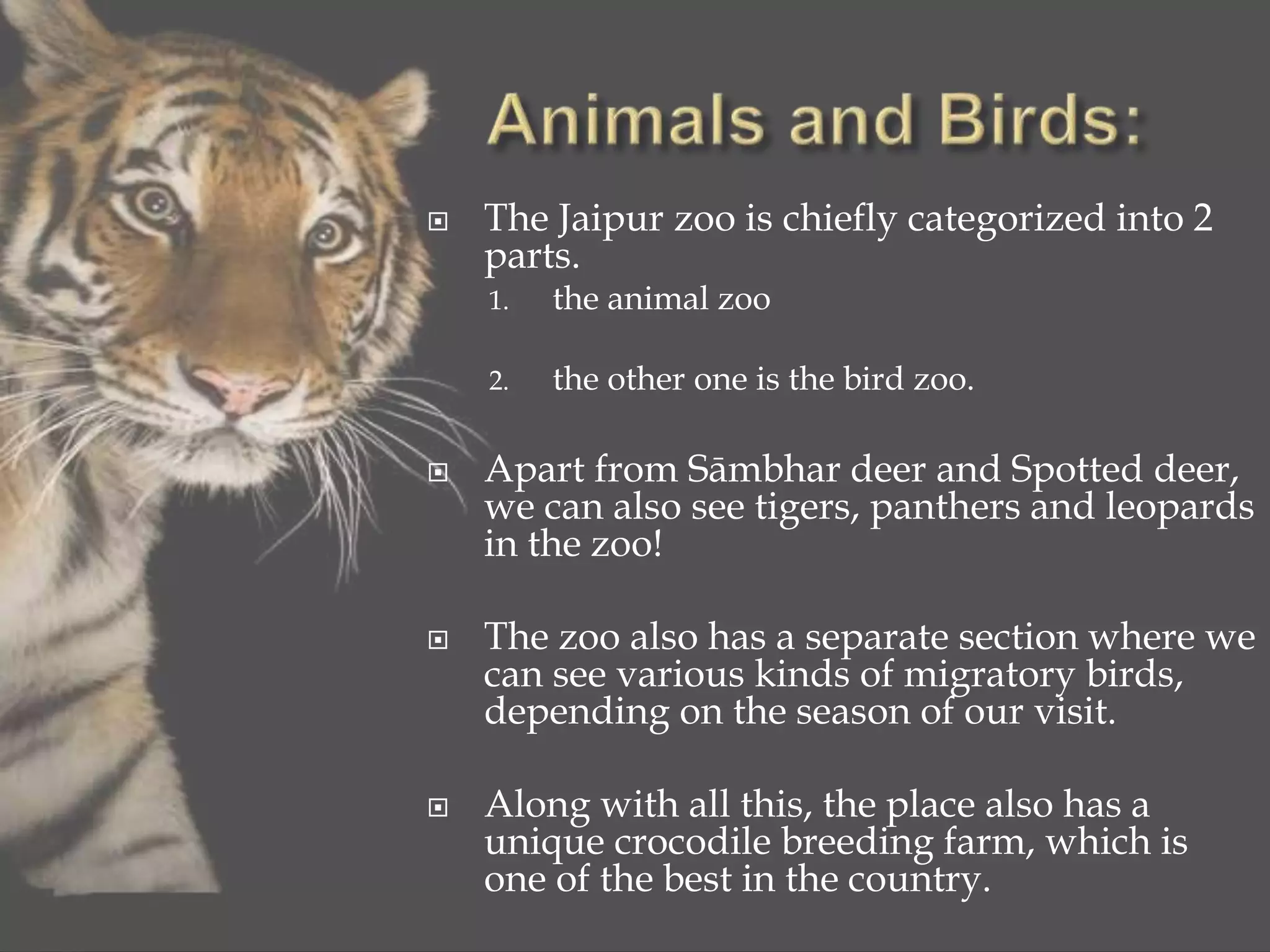 Zoo presentation.... | PPTX