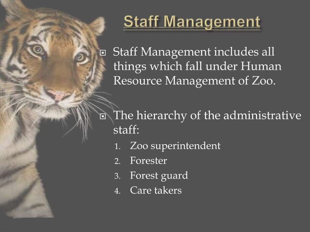 Zoo presentation.... | PPTX