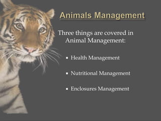 Zoo presentation.... | PPTX