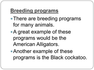 Zoo project 7c | PPTX