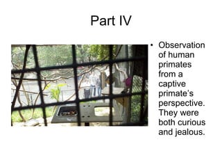 Zoo project power point | PPT