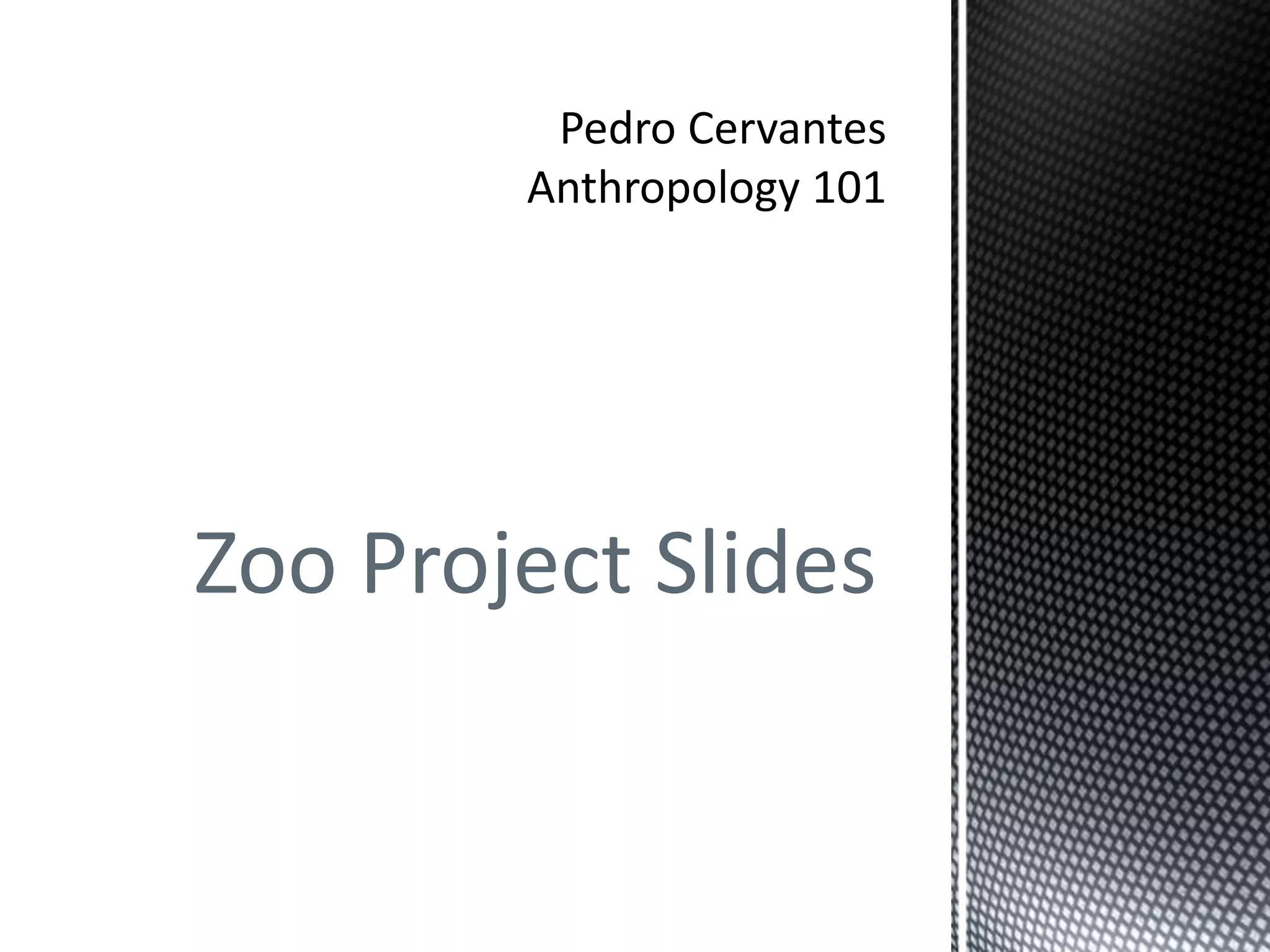 Zoo project slides | PPTX