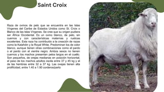 ZOOTECNIA OVINOS Y CAPRINOS PRODUCTORES DE LECHE | PDF