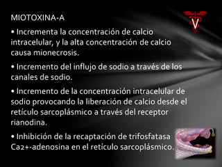 Zootoxinas | PDF