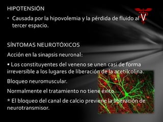 Zootoxinas | PDF