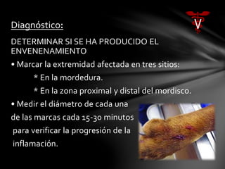 Zootoxinas | PDF