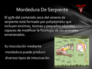Zootoxinas | PDF