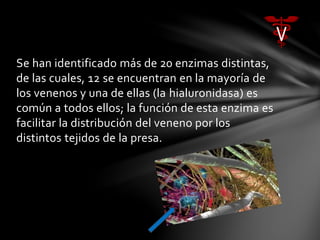 Zootoxinas | PDF