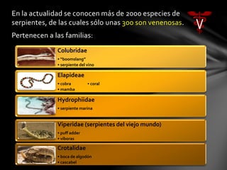 Zootoxinas | PDF