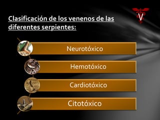 Zootoxinas | PDF