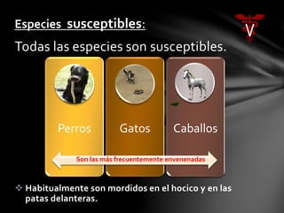 Zootoxinas | PDF