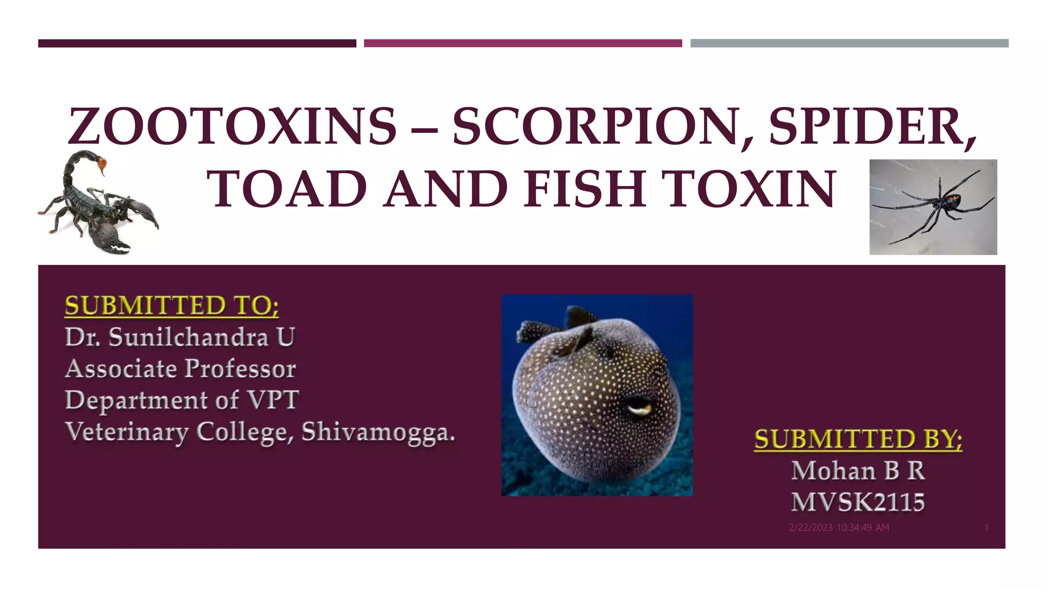 Zootoxins - Scorpion, Spider, Toads and Fish Toxins by Dr. Mohan B R | PPTX