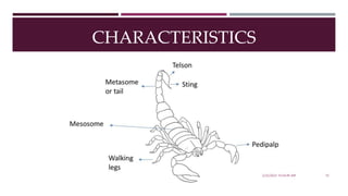 Zootoxins - Scorpion, Spider, Toads and Fish Toxins by Dr. Mohan B R | PPTX