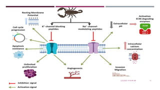 Zootoxins - Scorpion, Spider, Toads and Fish Toxins by Dr. Mohan B R | PPTX