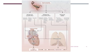 Zootoxins - Scorpion, Spider, Toads and Fish Toxins by Dr. Mohan B R | PPTX