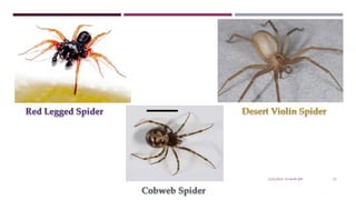 Zootoxins - Scorpion, Spider, Toads and Fish Toxins by Dr. Mohan B R | PPTX