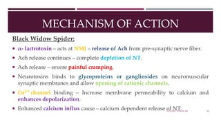 Zootoxins - Scorpion, Spider, Toads and Fish Toxins by Dr. Mohan B R | PPTX