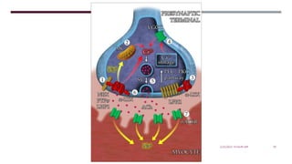 Zootoxins - Scorpion, Spider, Toads and Fish Toxins by Dr. Mohan B R | PPTX
