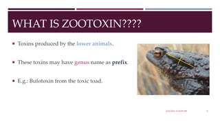Zootoxins - Scorpion, Spider, Toads and Fish Toxins by Dr. Mohan B R | PPTX