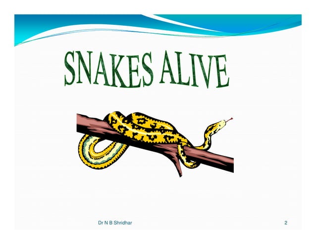 Zootoxins by Dr N B Shridhar | PDF | Reptiles | Pets