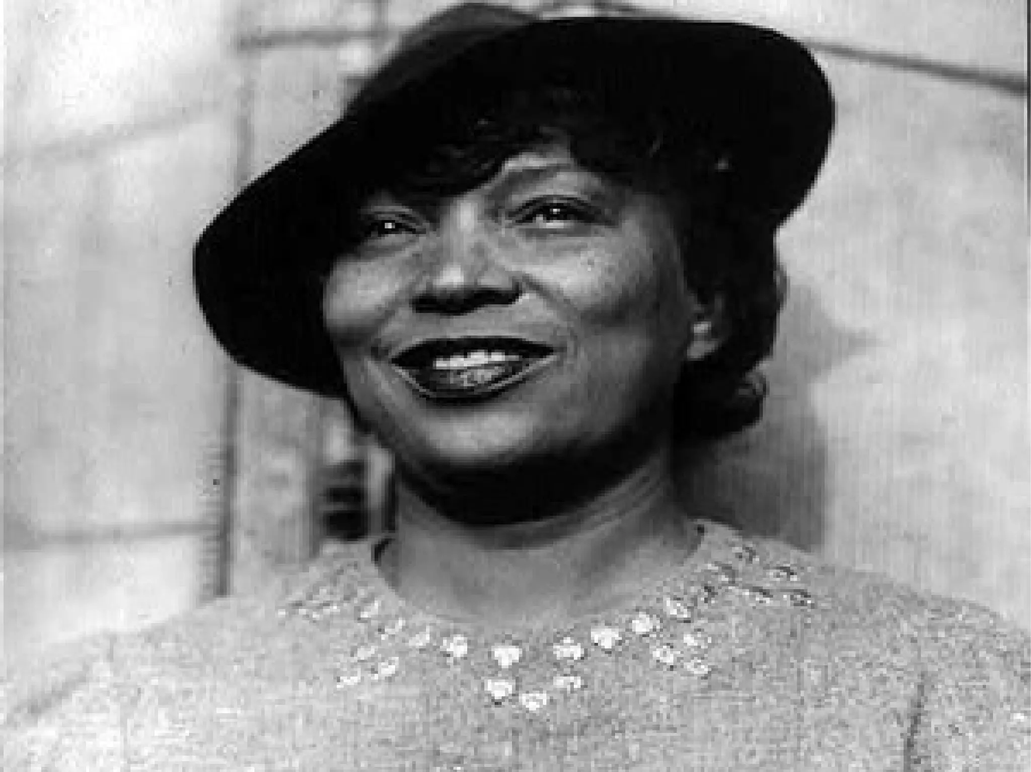 Zora neale hurston | ODP