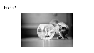 Grados de Iconicidad en imagenes | PPTX