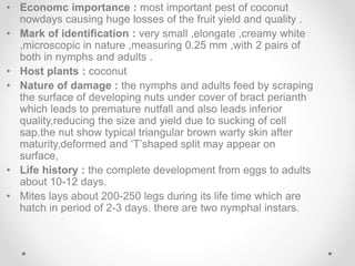 Pest of coconut shubham more 38 docs1234 | PPTX | Gardening | Home & Garden