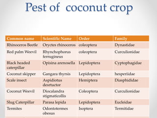 Pest of coconut shubham more 38 docs1234 | PPTX